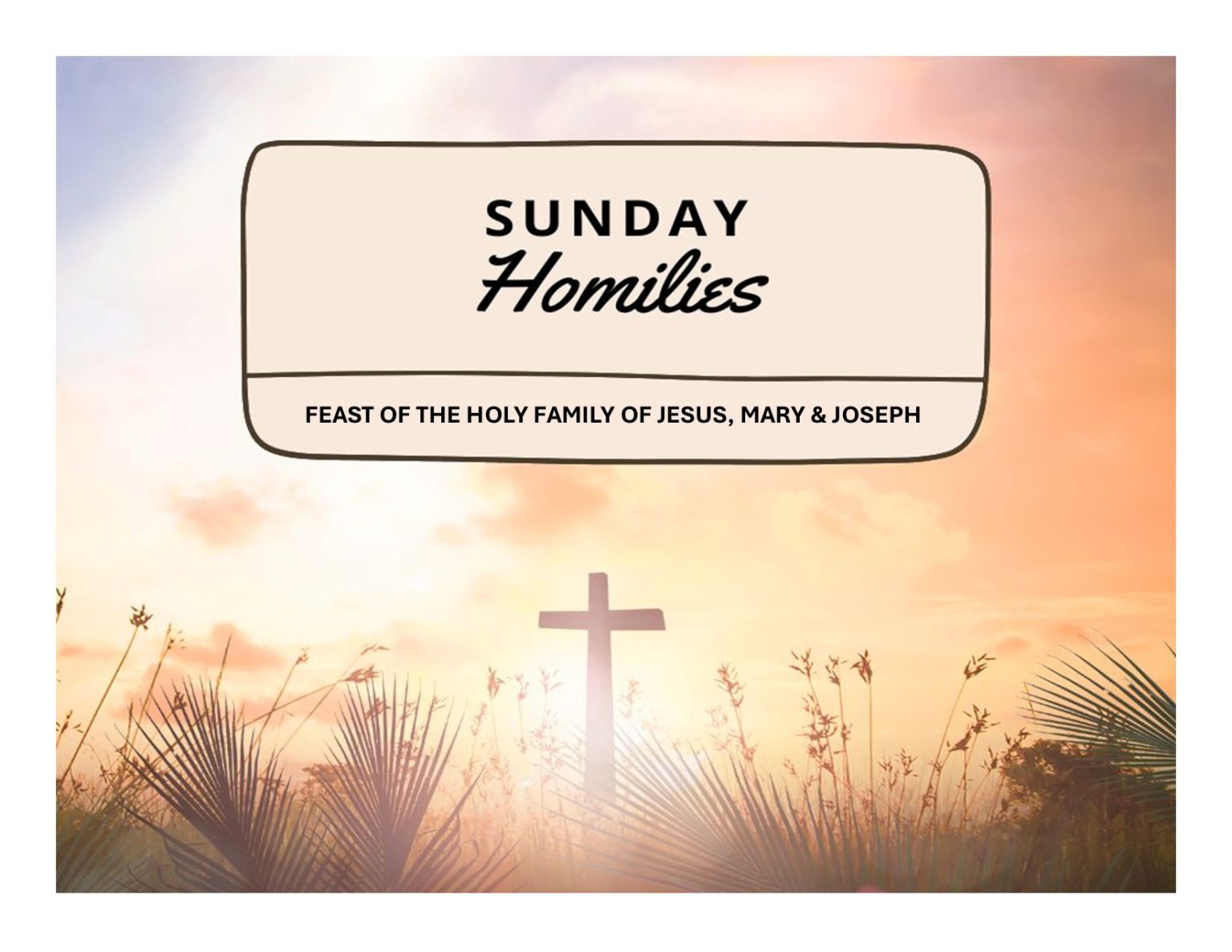 Sunday Homily | Church of the Holy Spirit